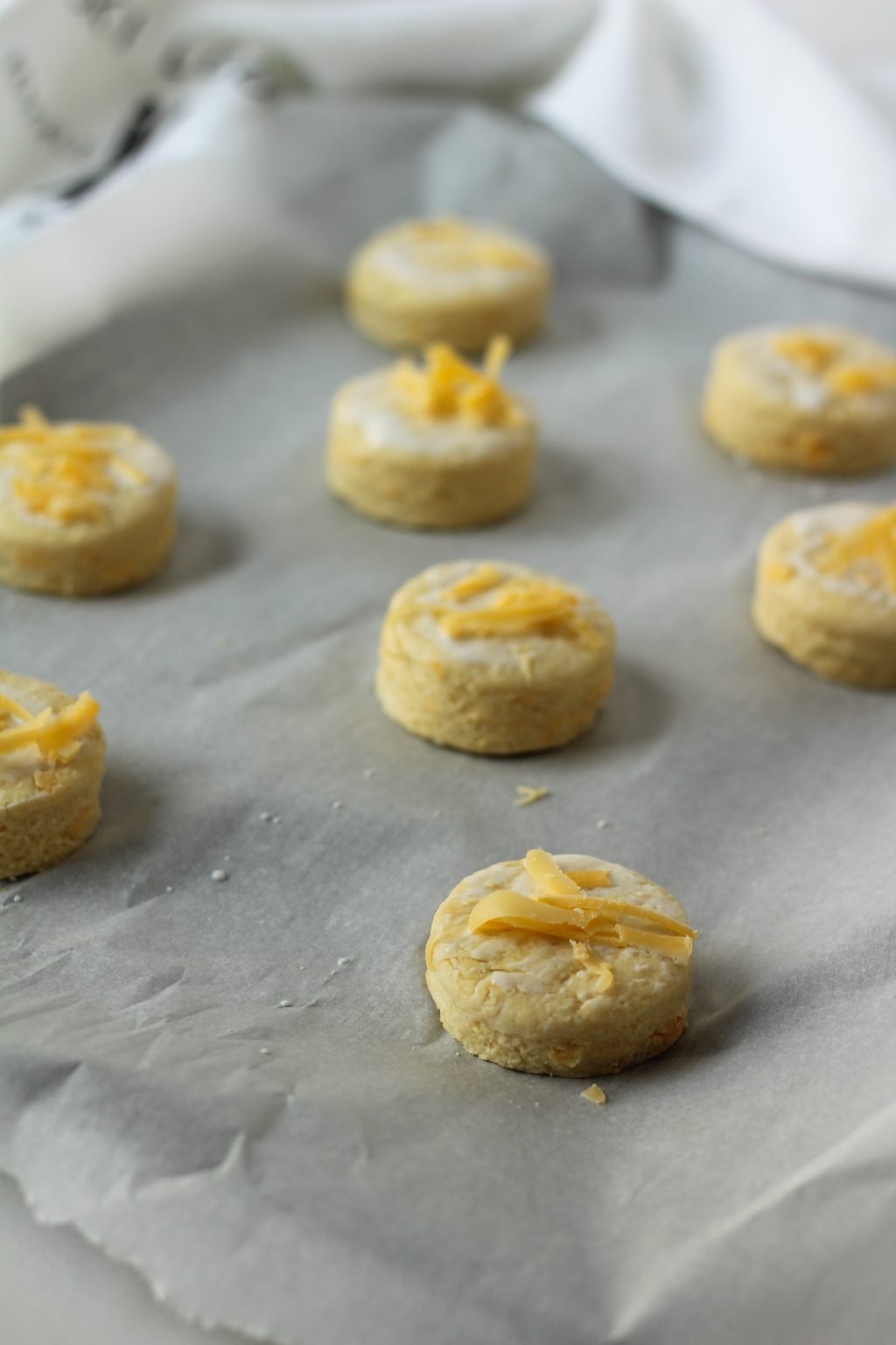Cheesy Buttermilk Biscuits - Studio BoEss